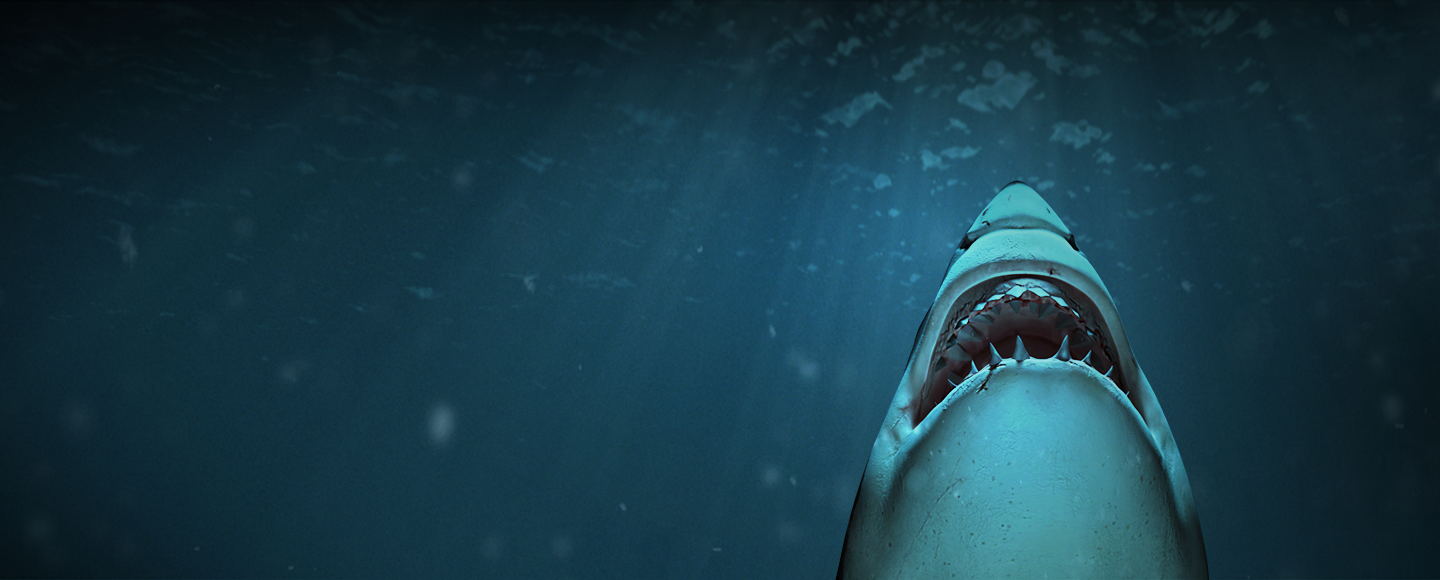 Allplan - CAD Software BIM - ALLPLAN Systems España S.A